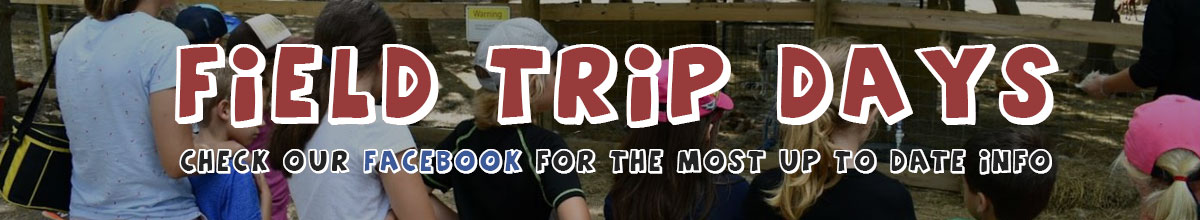 Field Trips | Sweet Eats Fruit Farm