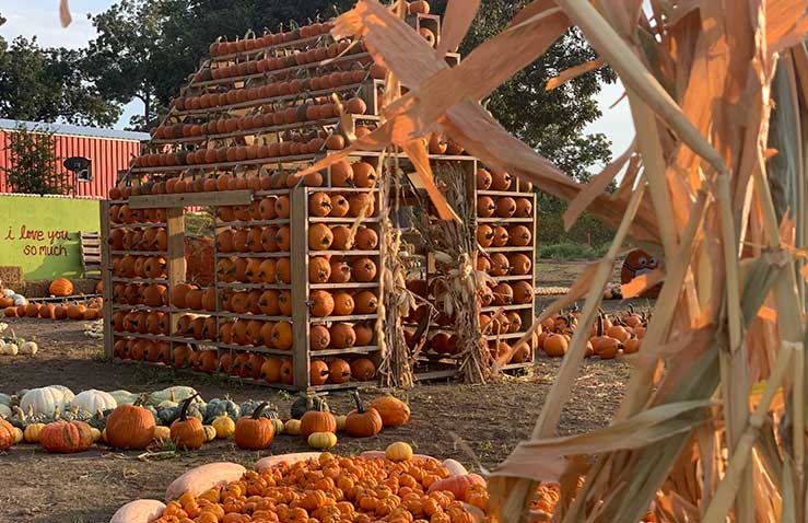 October Festivals Near Me 2022 Get Halloween 2022 News Update