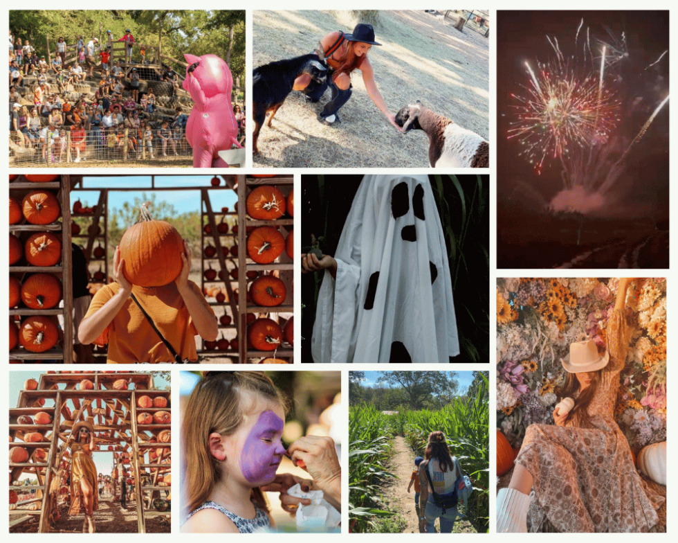 Austin TX Texas Fall Festival Pumpkins Corn Maze - Sweet Eats Adventure ...