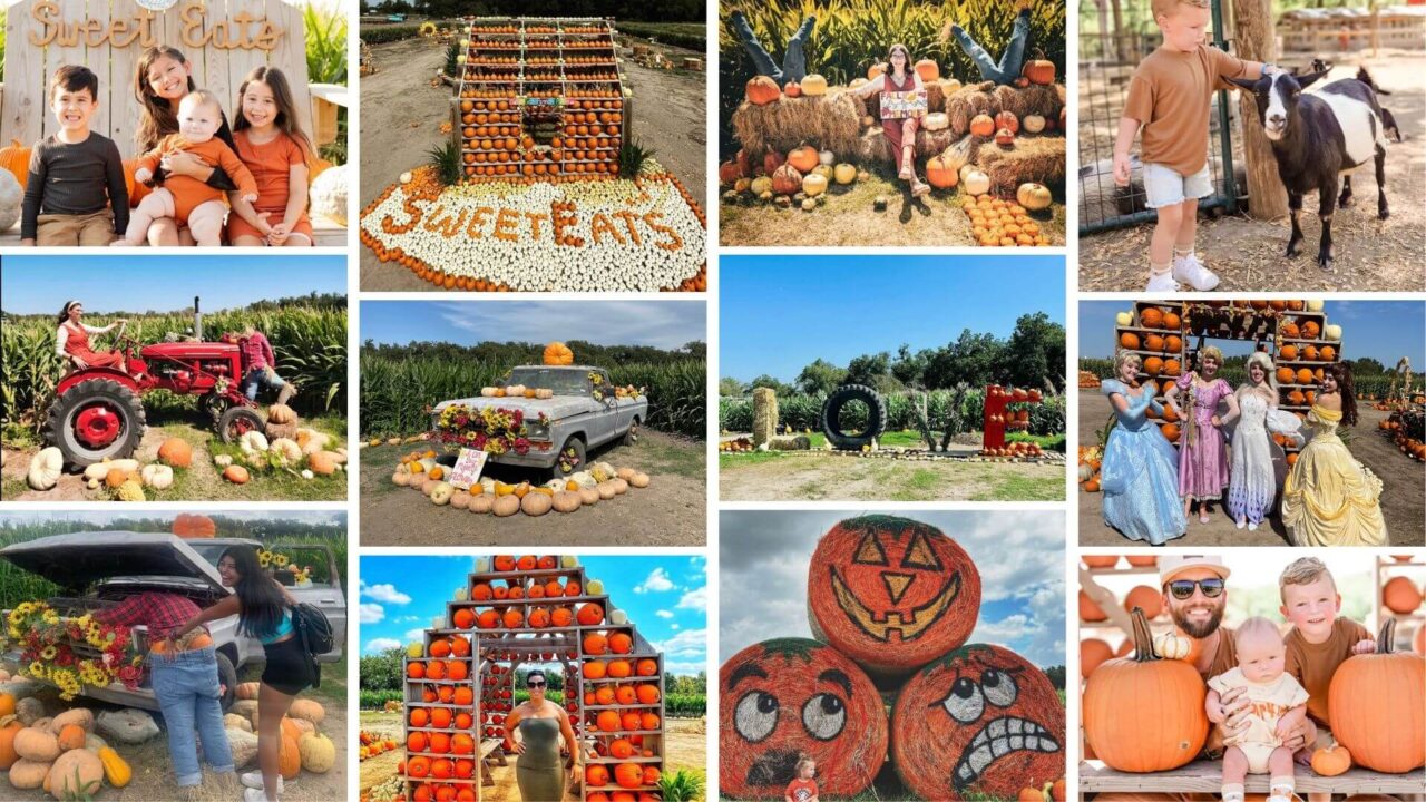 Events And Attractions - Sweet Eats Adventure Farm