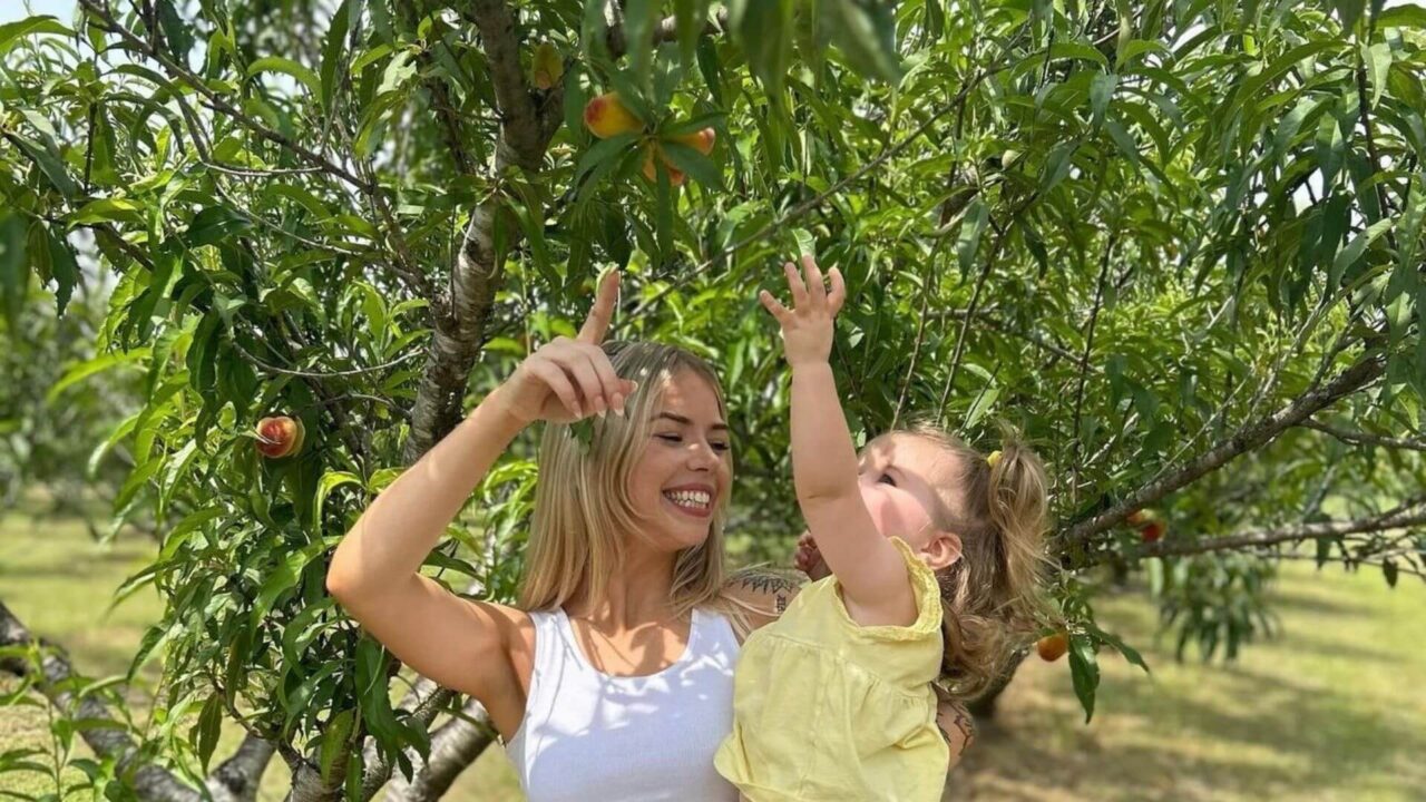 Events And Attractions - Sweet Eats Adventure Farm