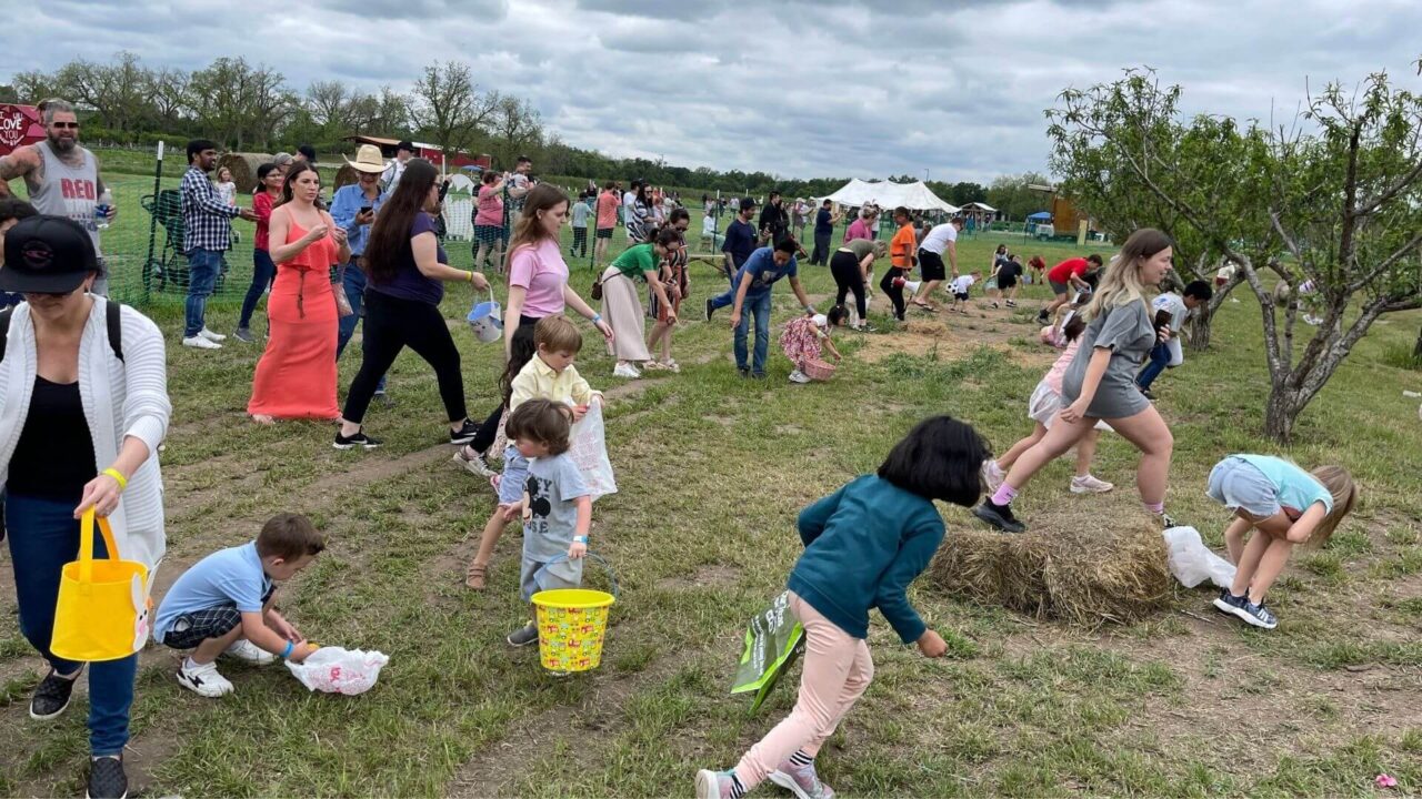 Easter Egg Hunts - Sweet Eats Adventure Farm
