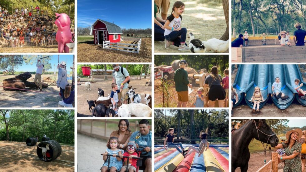 Map & Activities - Sweet Eats Adventure Farm