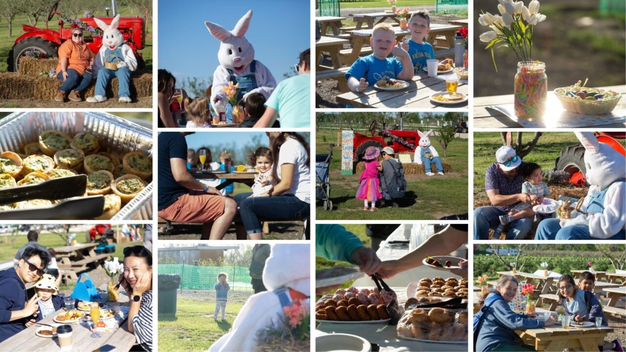 Easter Egg Hunts - Sweet Eats Adventure Farm