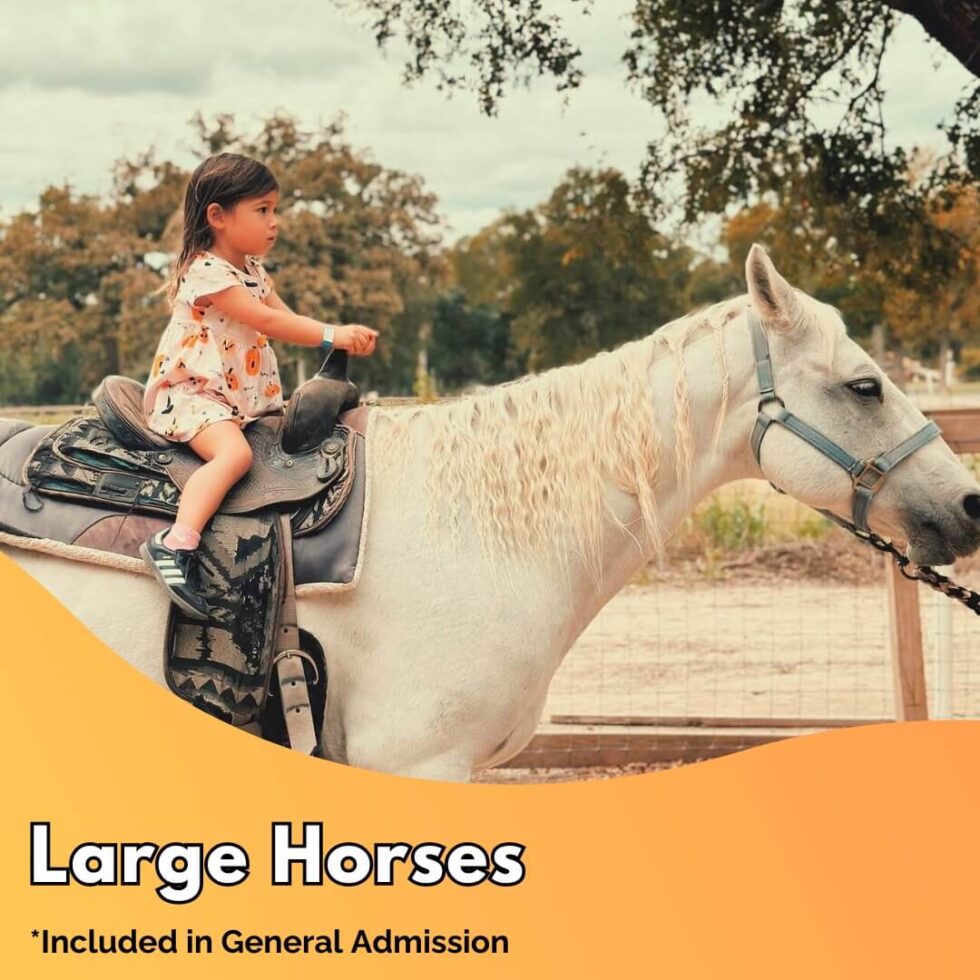 Map & Activities - Sweet Eats Adventure Farm