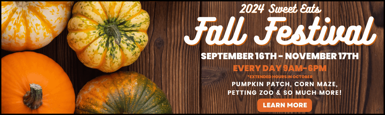 Best Things To Do In Austin This Weekend - Sweet Eats Adventure Farm