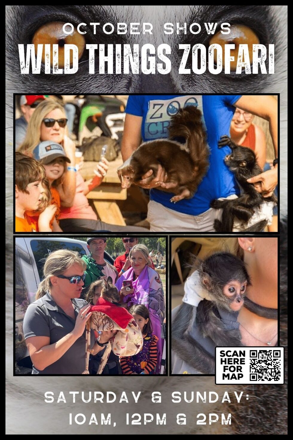 2022 Georgetown Fall Festival - Sweet Eats Adventure Farm