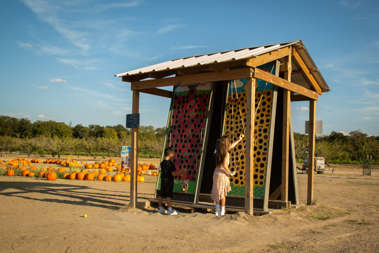 Pumpkin Patch - Sweet Eats Adventure Farm