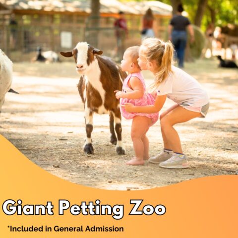 Map & Activities - Sweet Eats Adventure Farm