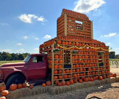 2022 Georgetown Fall Festival - Sweet Eats Adventure Farm