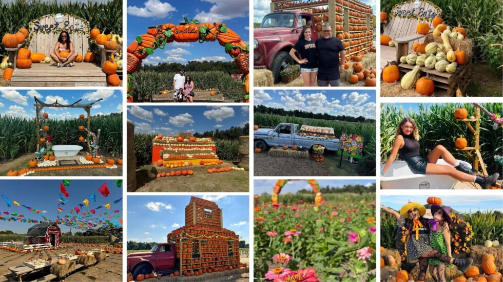 Austin TX Texas Fall Festival Pumpkins Corn Maze - Sweet Eats Adventure ...