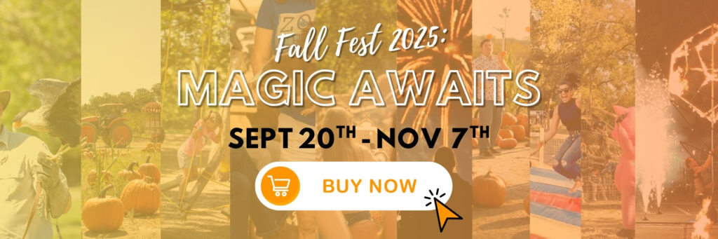 Best Things To Do In Austin This Weekend - Sweet Eats Adventure Farm